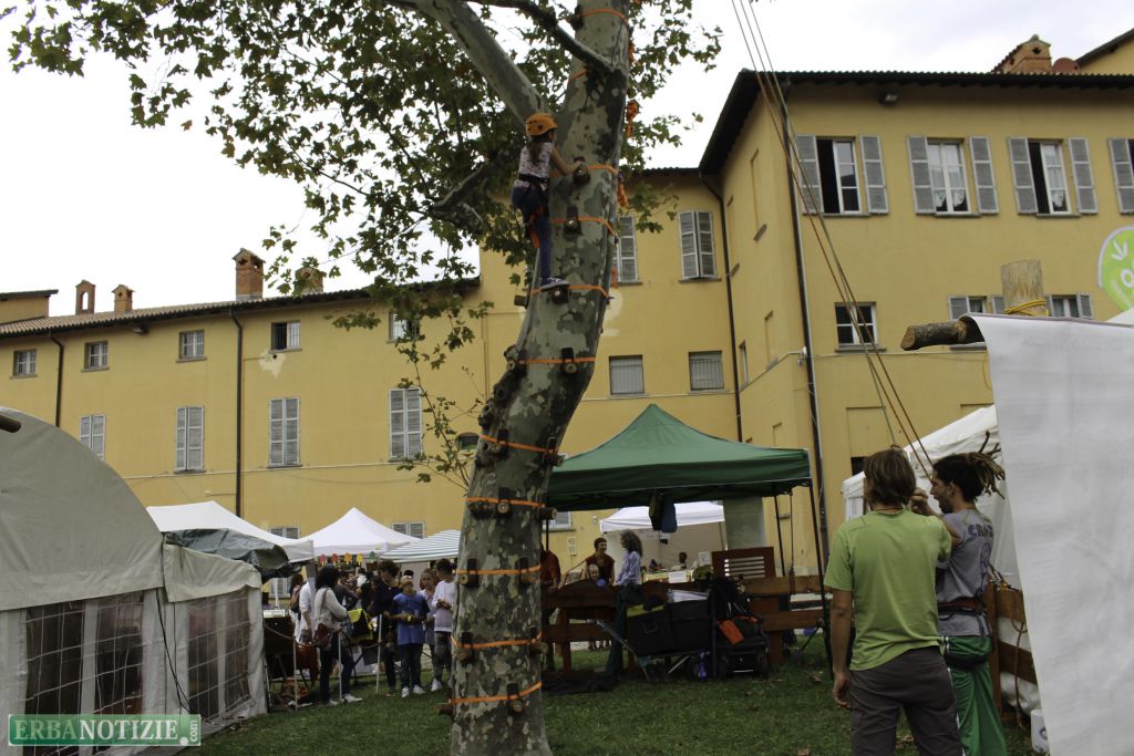 Canzo. Venerdì 7 settembre ritorna la Biofera a Villa Meda | Erbanotizie