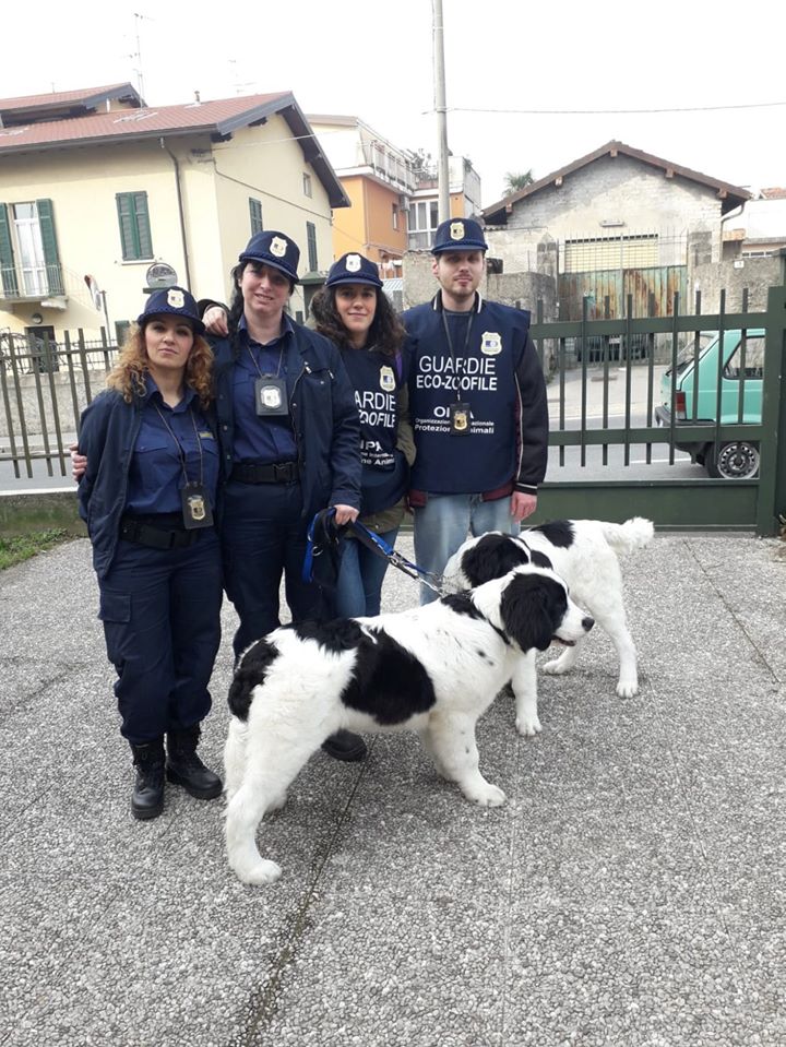A Merone arrivano le Guardie eco-zoofile per la tutela degli animali ...