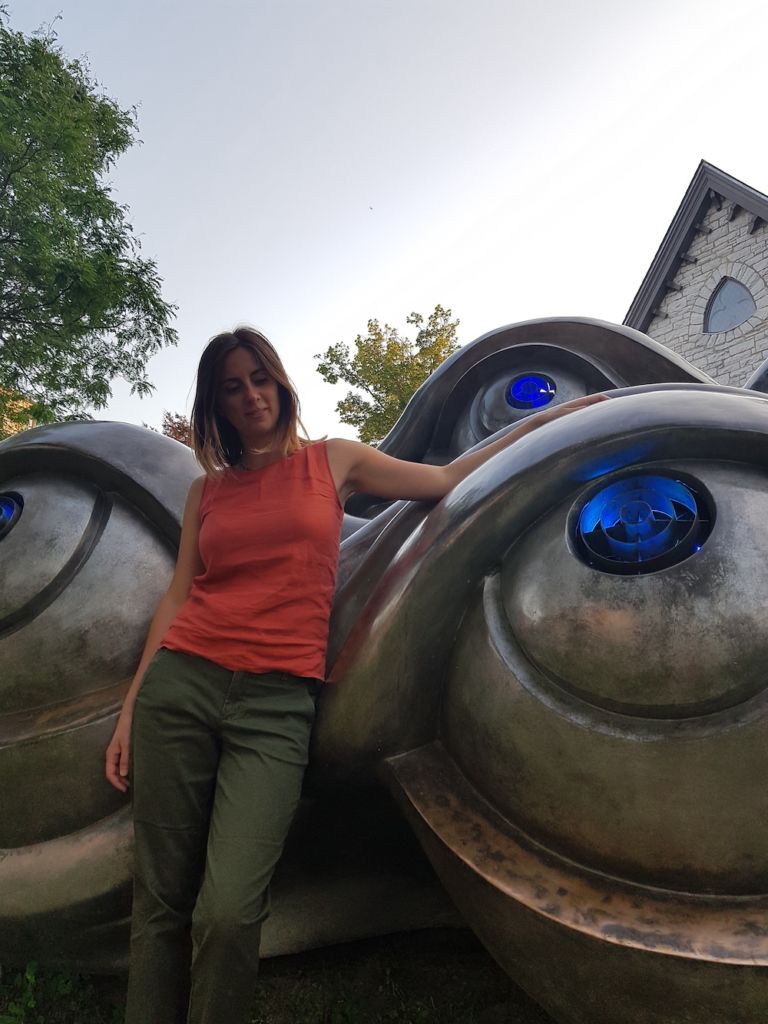 'Raccolta n.83', il primo libro di poesie dell'erbese Anna Colombo ...